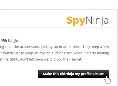How To Set Your BidNinja