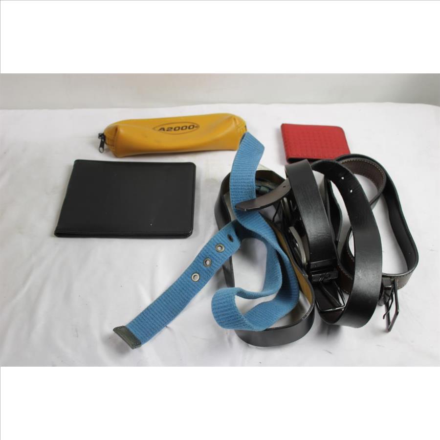 Calvin Klein Handbag, Members Only Red Wallet, Belts, And More, 9 ...