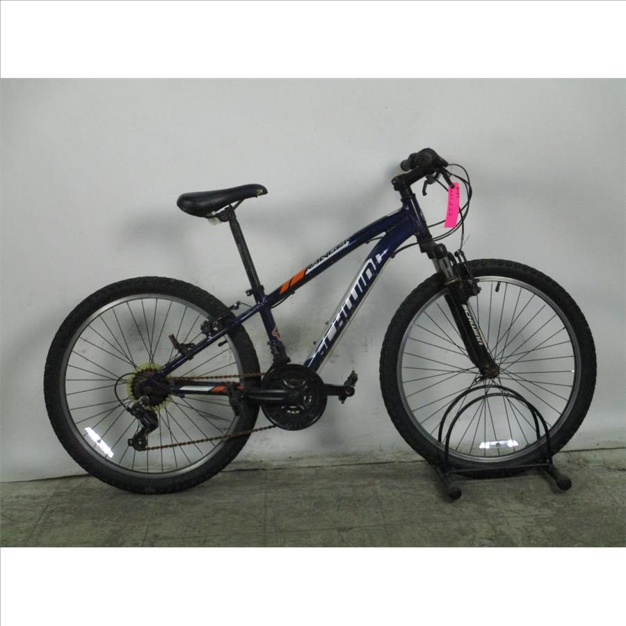 Schwinn Ranger | Property Room