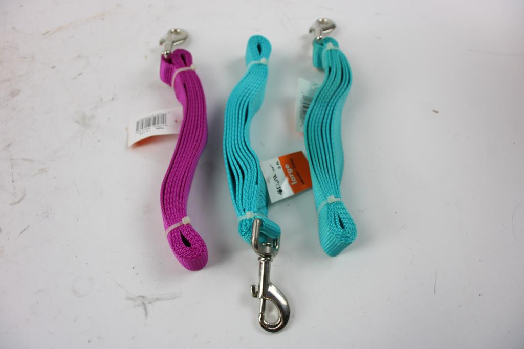 Leashes, Collar, And Harness Lot, 5 Pieces | Property Room