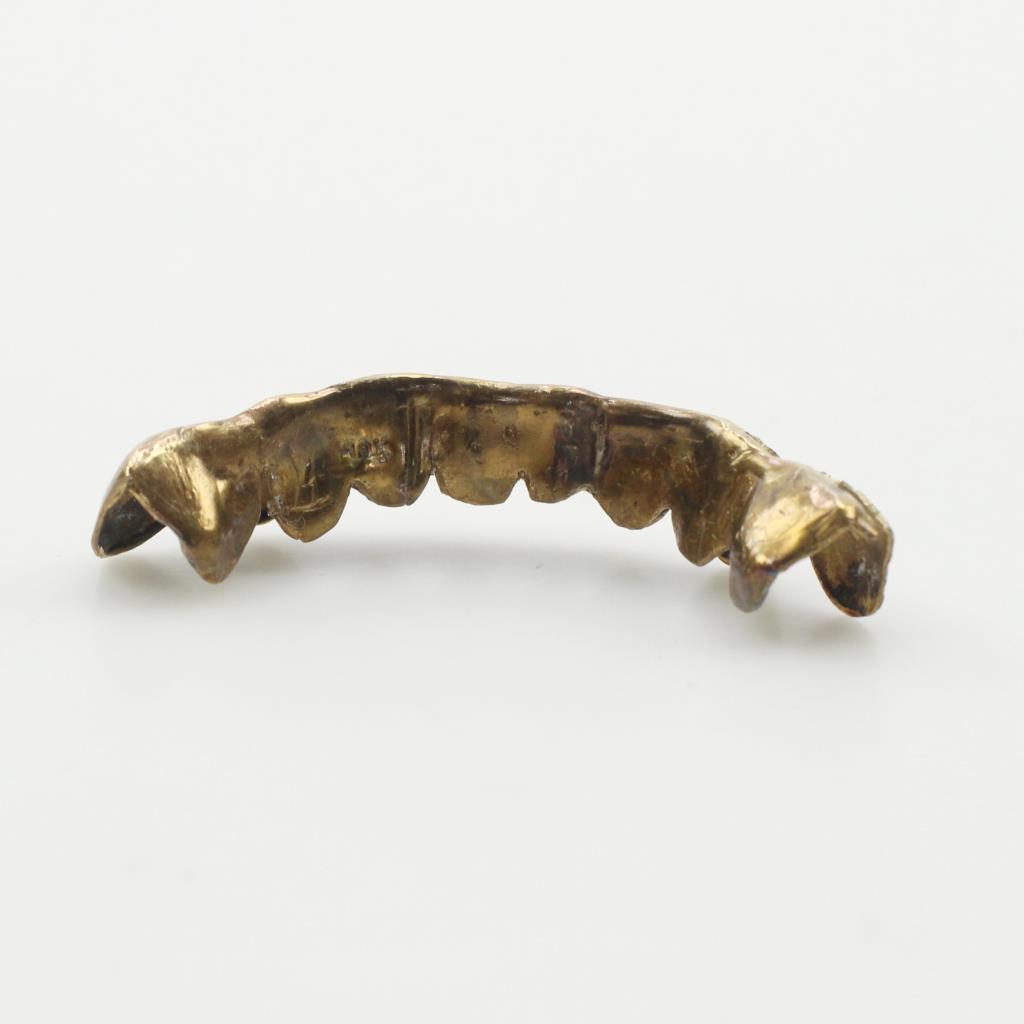 10kt Gold Teeth Covers | Property Room
