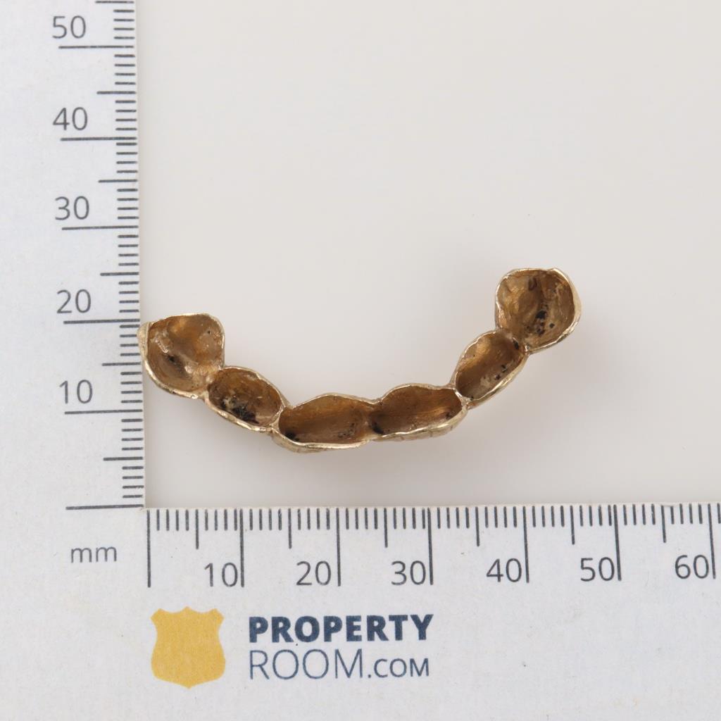 10kt Gold Teeth Covers | Property Room
