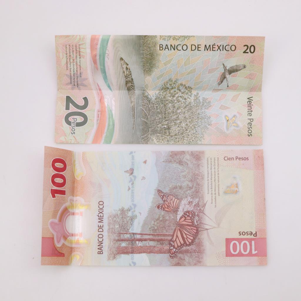 120 Mexican Pesos | Property Room