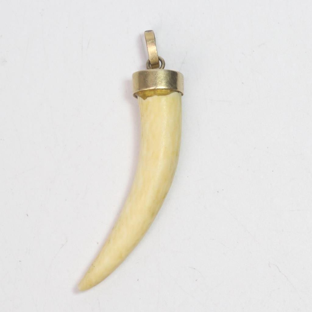 17k Gold 4.49g Animal Tooth Pendant | Property Room