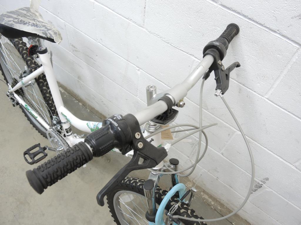 Pacific Evolution Mountain Bike | Property Room