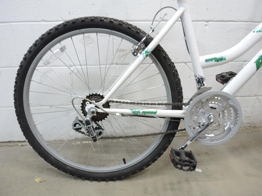 Pacific Evolution Mountain Bike | Property Room