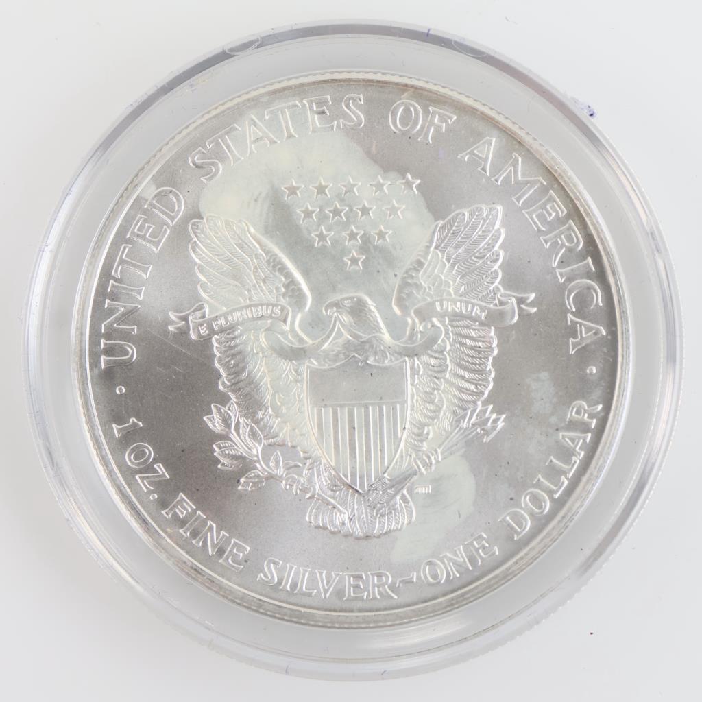 2000 American Eagle Colorized Fine Silver Dollar 1oz | Property Room