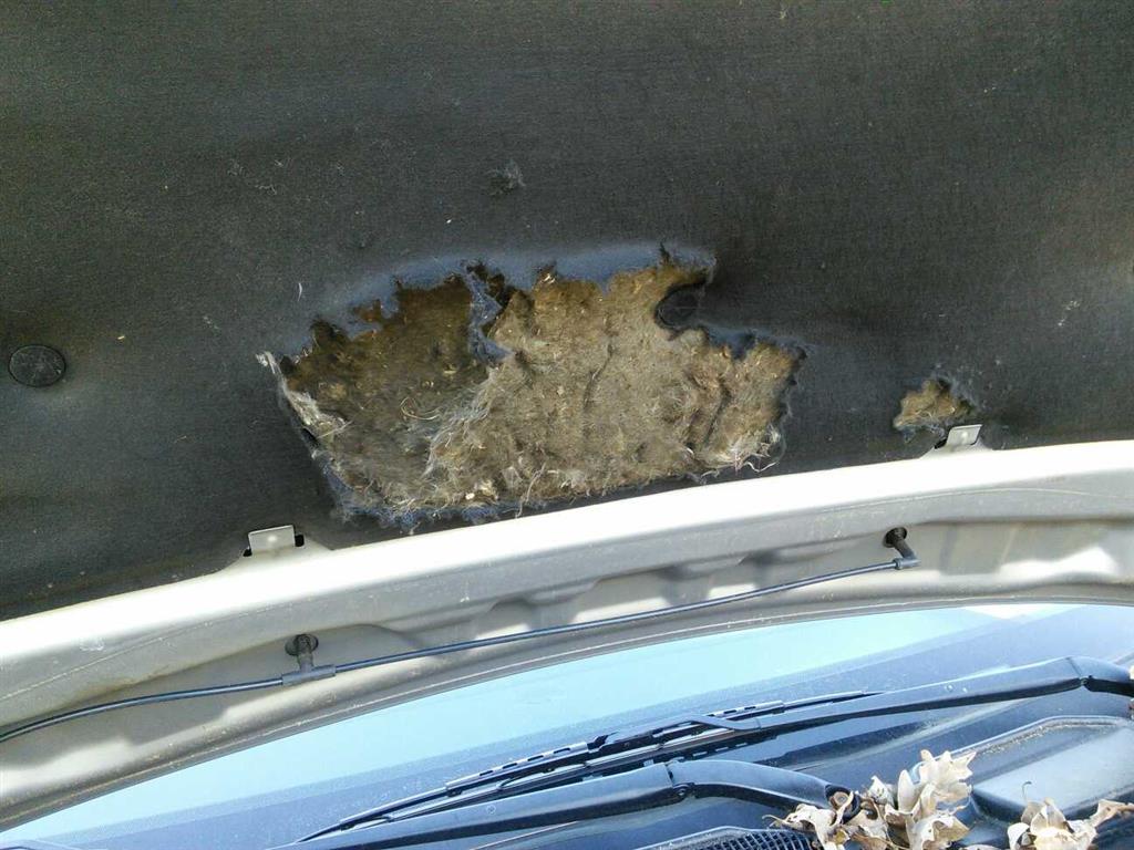 2014 Dodge Grand Caravan (Hartford, CT 06114) | Property Room