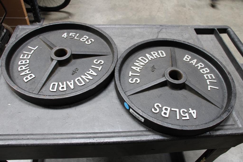45LB Standard Plate - Pair | Property Room