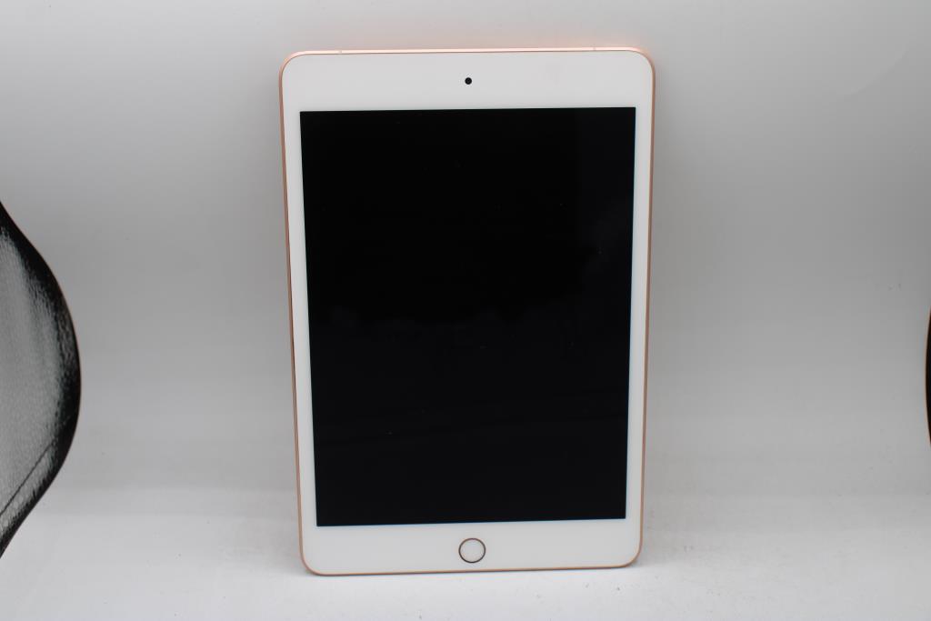 Apple IPad Mini 5th Gen, 256 GB, Unknown Carrier | Property Room