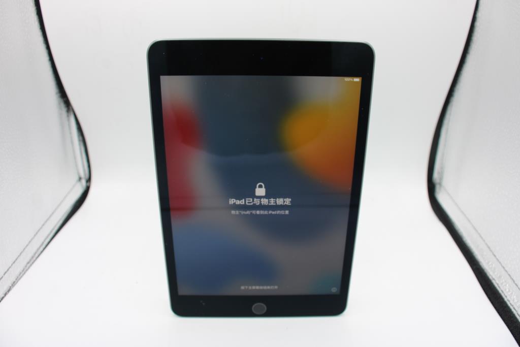 Apple IPad Mini 5th Gen, 64GB, Wi-Fi Only, Locked To Owner - SOLD FOR ...