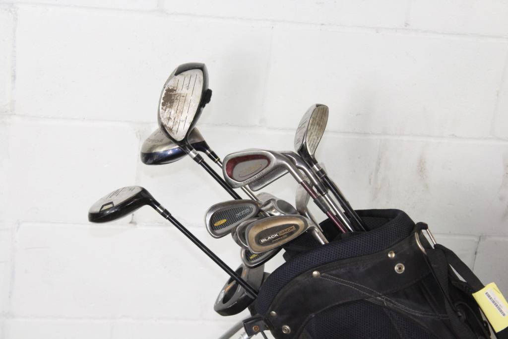 Assorted Golf Clubs Inside DM Golf Bag, 16 Clubs | Property Room