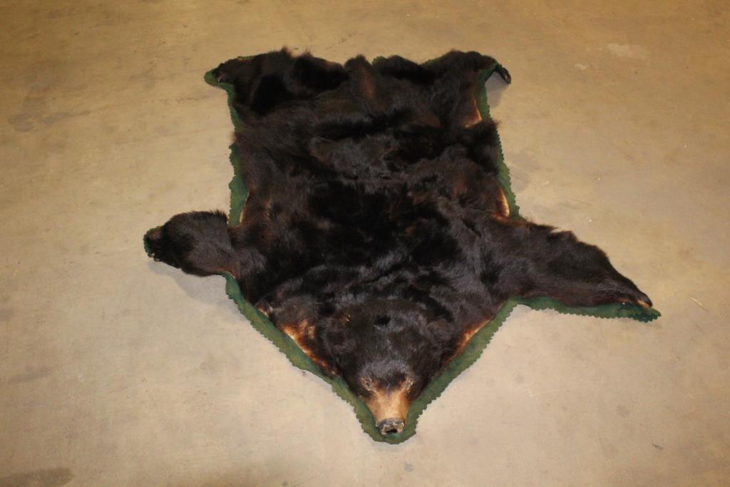 Bear Skin Rug | Property Room