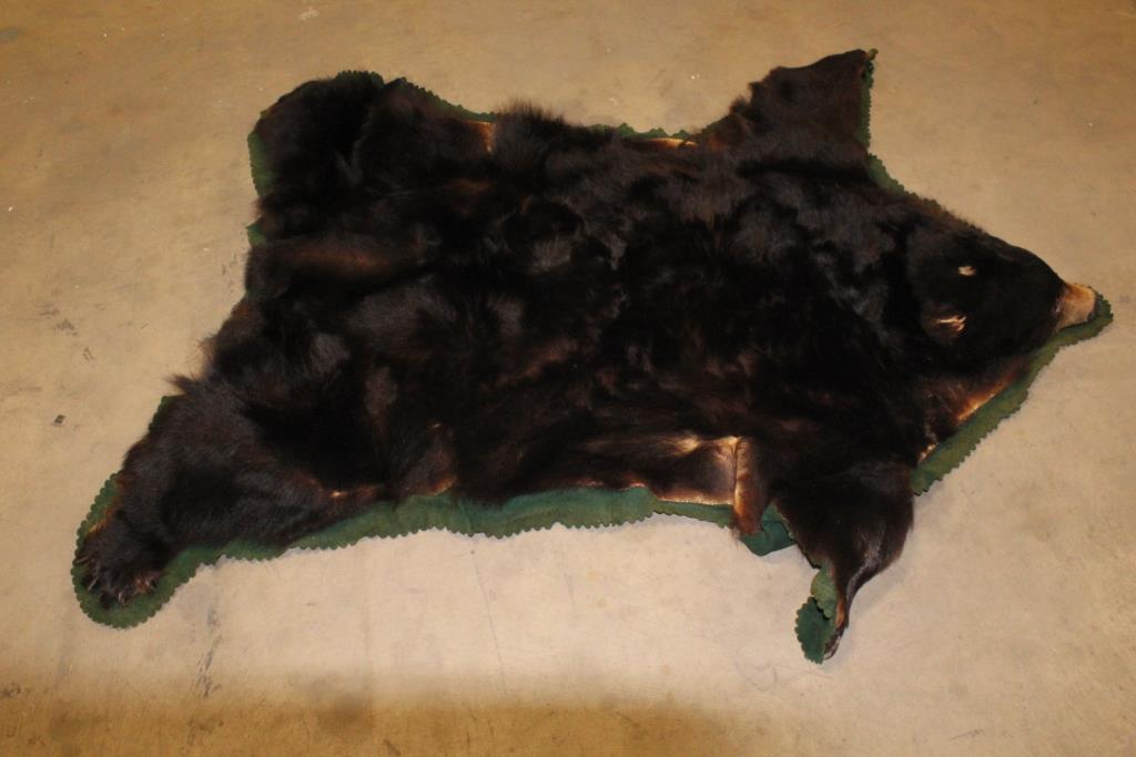 Bear Skin Rug | Property Room