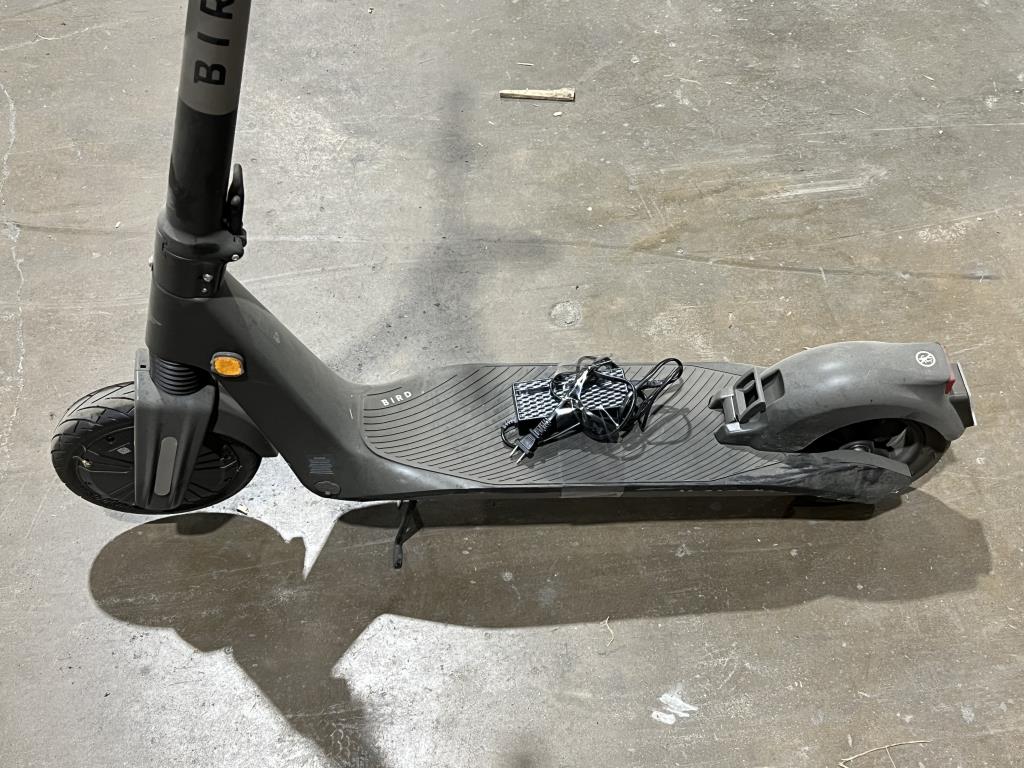 Bird Electric Kick Scooter | Property Room