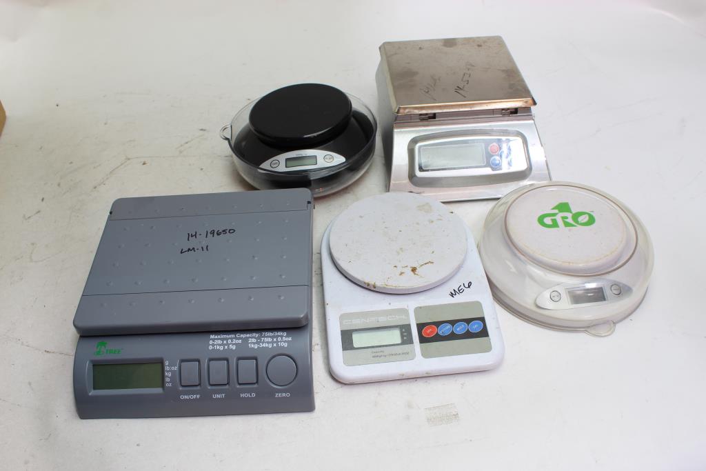 Cen-tech, Grow, My Weigh, Tree+ More Assorted Scales 5 Pieces ...