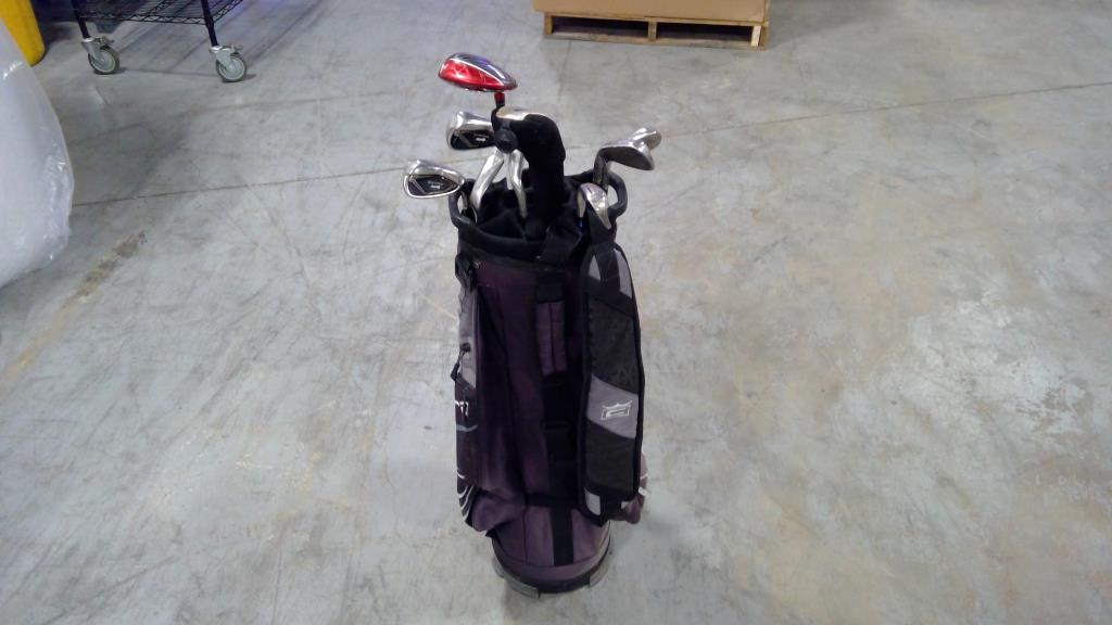 Cobra Bag With Clubs, 10 Pieces | Property Room