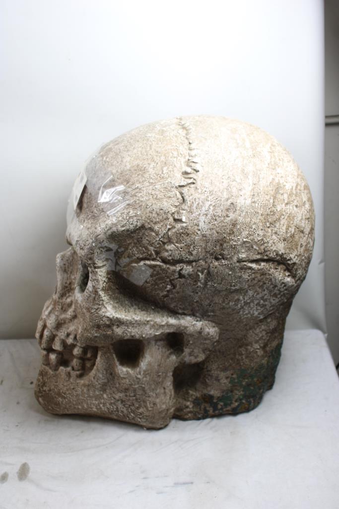 Decorative Skull, Light Fixture | Property Room