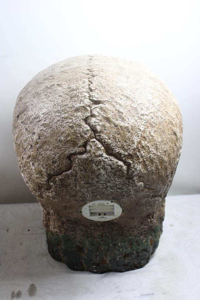 Decorative Skull, Light Fixture | Property Room