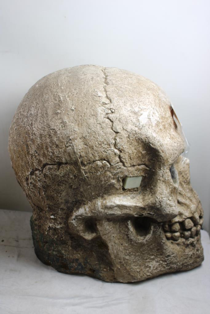 Decorative Skull, Light Fixture | Property Room