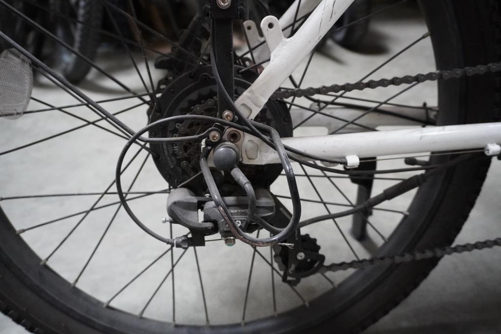 Ecomotion E-Bike | Property Room
