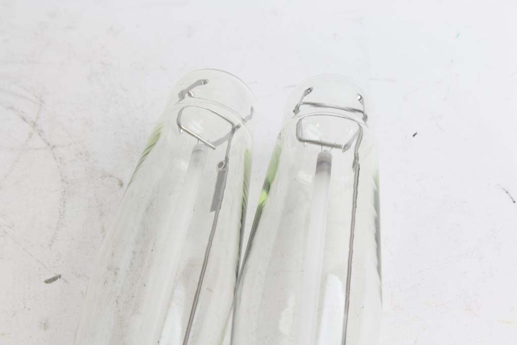 Eye Horilux Lu1000B/Htl/En Super Hps Grow Lamp: 2 Items | Property Room