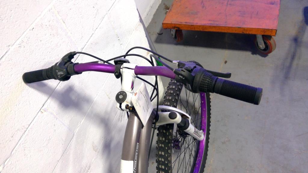 Genisis Mountain Bike | Property Room