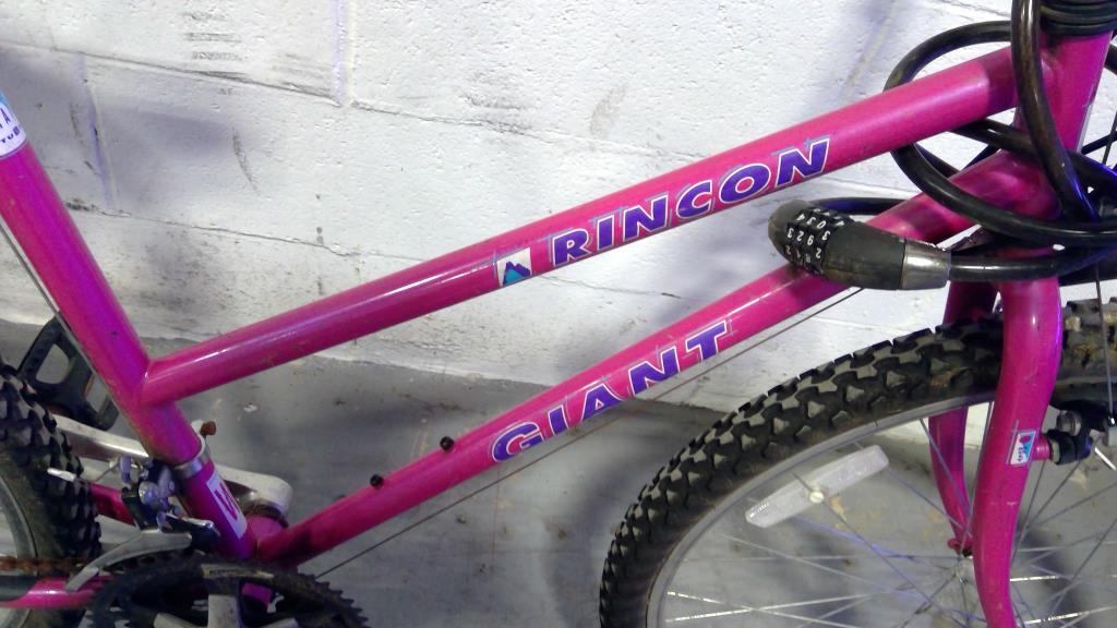 Giant Mountain Bike | Property Room