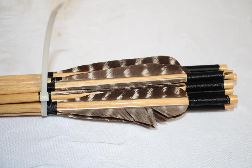 Good Arrow, 11 Pieces, And Arrow Sheat | Property Room