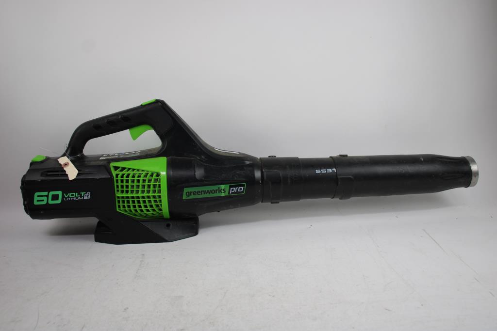 Greenworks Pro Cordless Leaf Blower, BL60L00 | Property Room