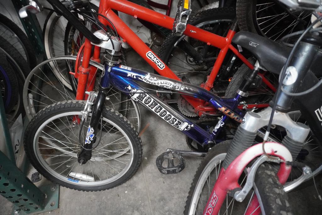 Group Of 10+ Used Bikes | Property Room