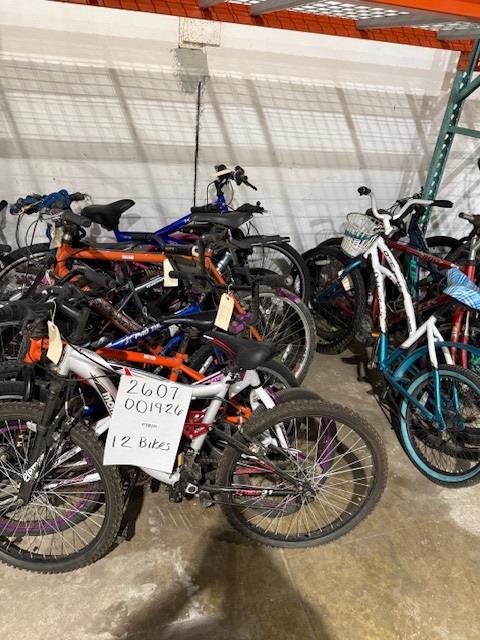 Group Of 12 Used Bikes | Property Room