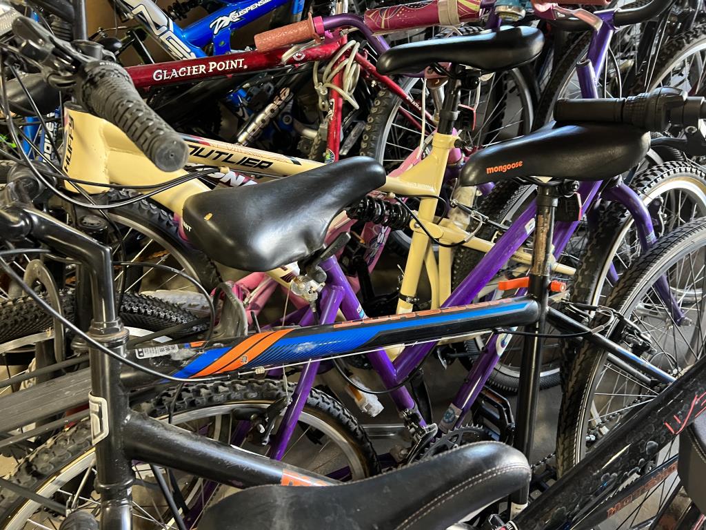 Group Of 12 Used Bikes | Property Room