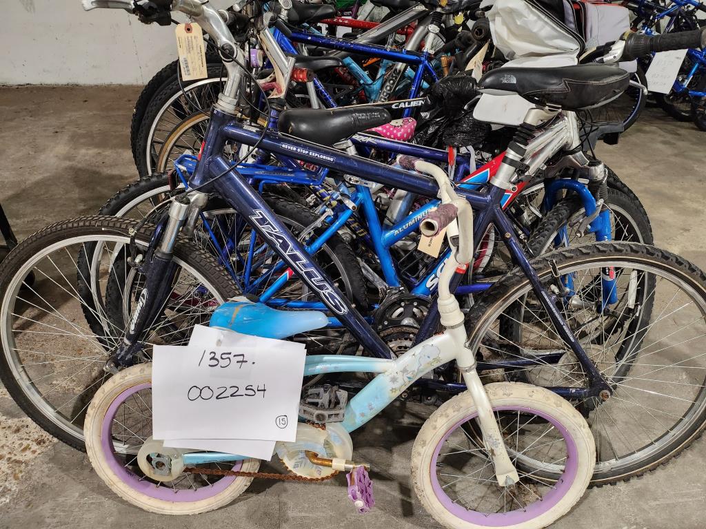 Group Of 15 Used Bikes | Property Room