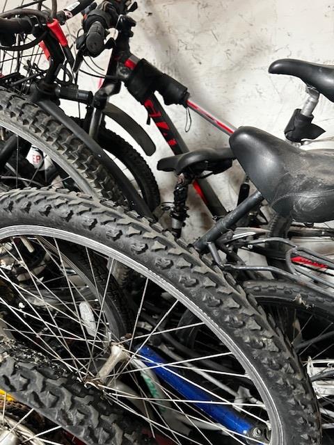 Group Of 15+ Used Bikes | Property Room