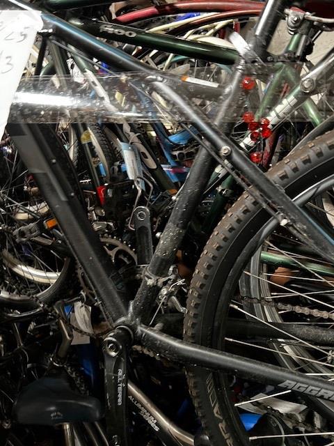 Group Of 19 Used Bikes | Property Room