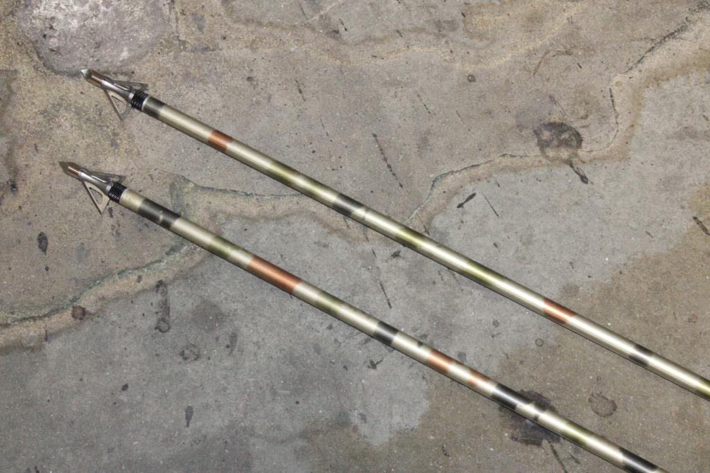 Martin Archery Lynx Magnum Compound Bow With 2 Arrows And A Case ...