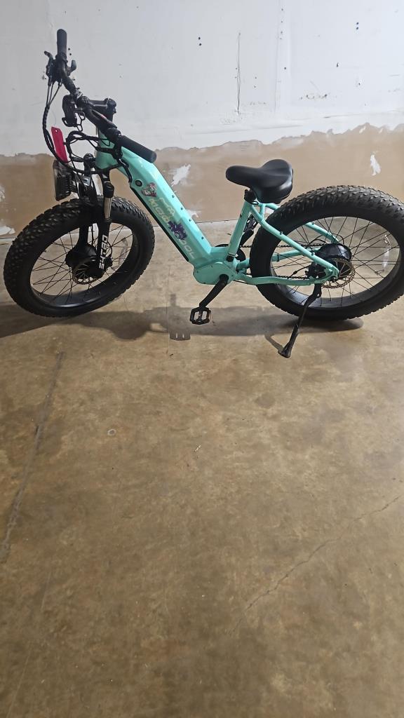 Moon Cool E-Bike | Property Room