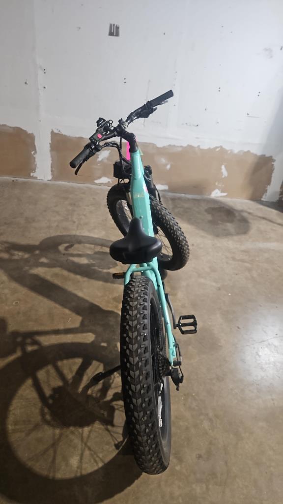 Moon Cool E-Bike | Property Room