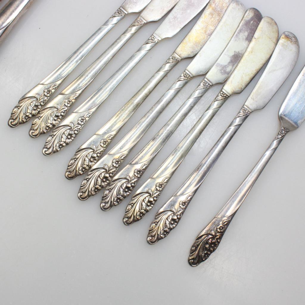 Oneida Vintage 1950s Community Plate Evening Star Pattern Knives - 17 ...