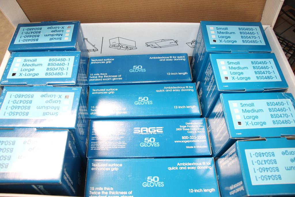 P2 Safety Plus 50 Powderfree Latex Gloves XL, 12 Pieces | Property Room