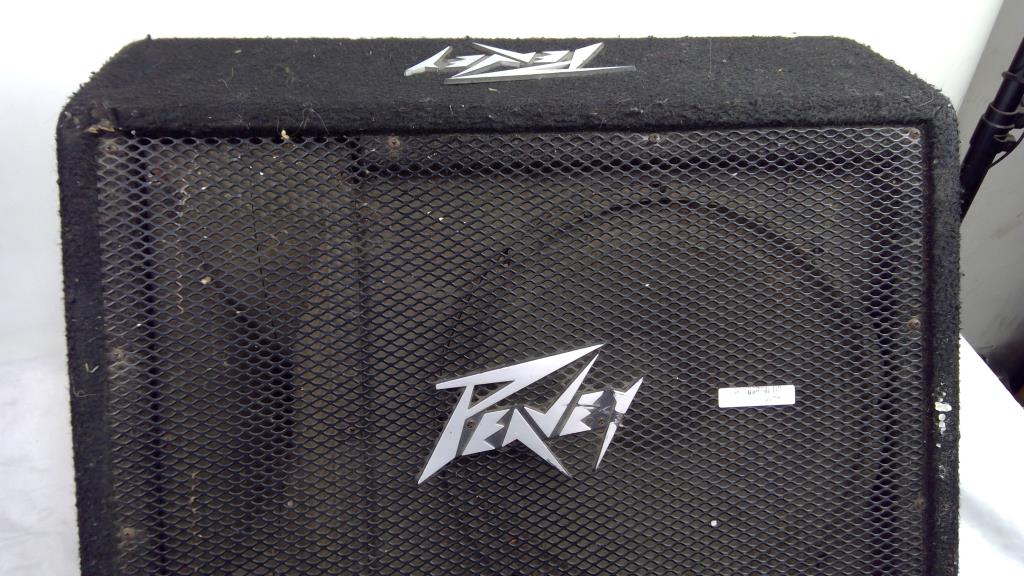 Peavey 112 DLM Low-Profile Stage Monitor | Property Room