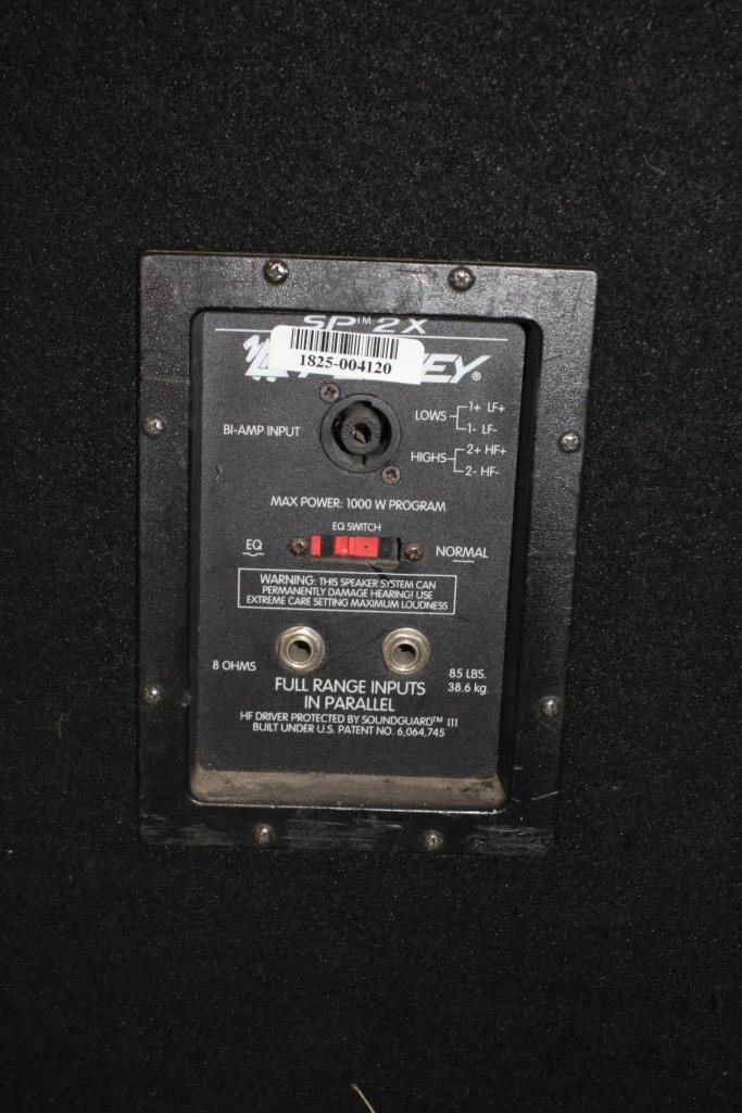 Peavey SP 2X Speaker | Property Room