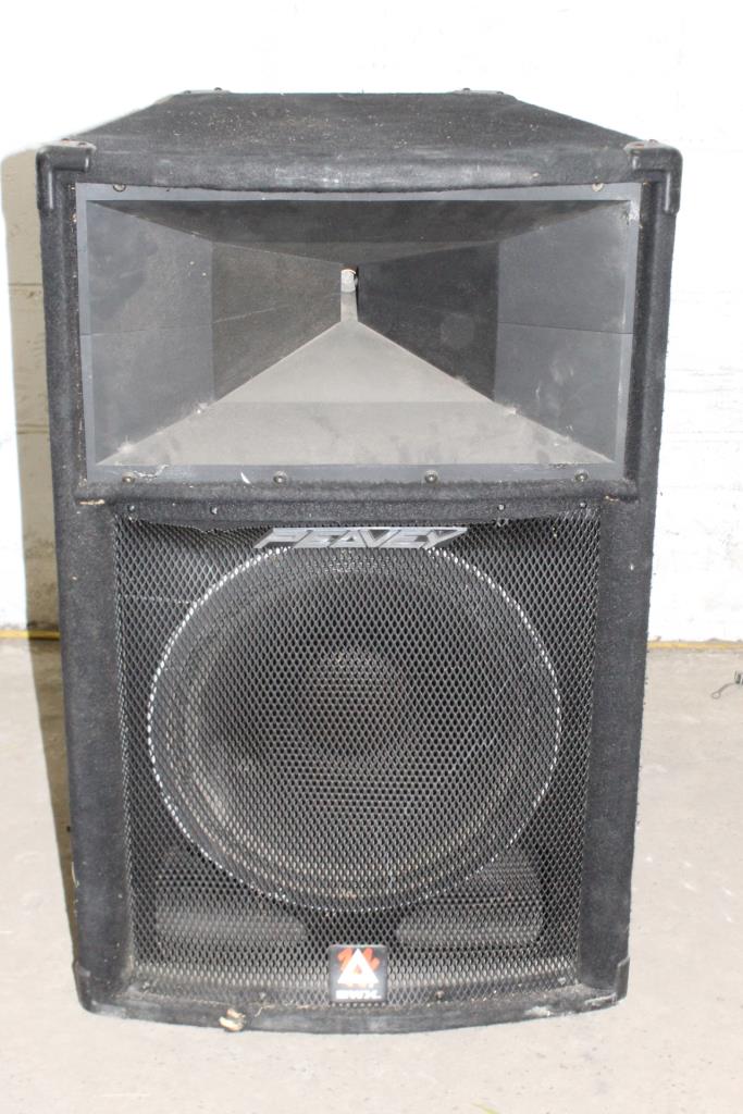 Peavey SP 2X Speaker | Property Room
