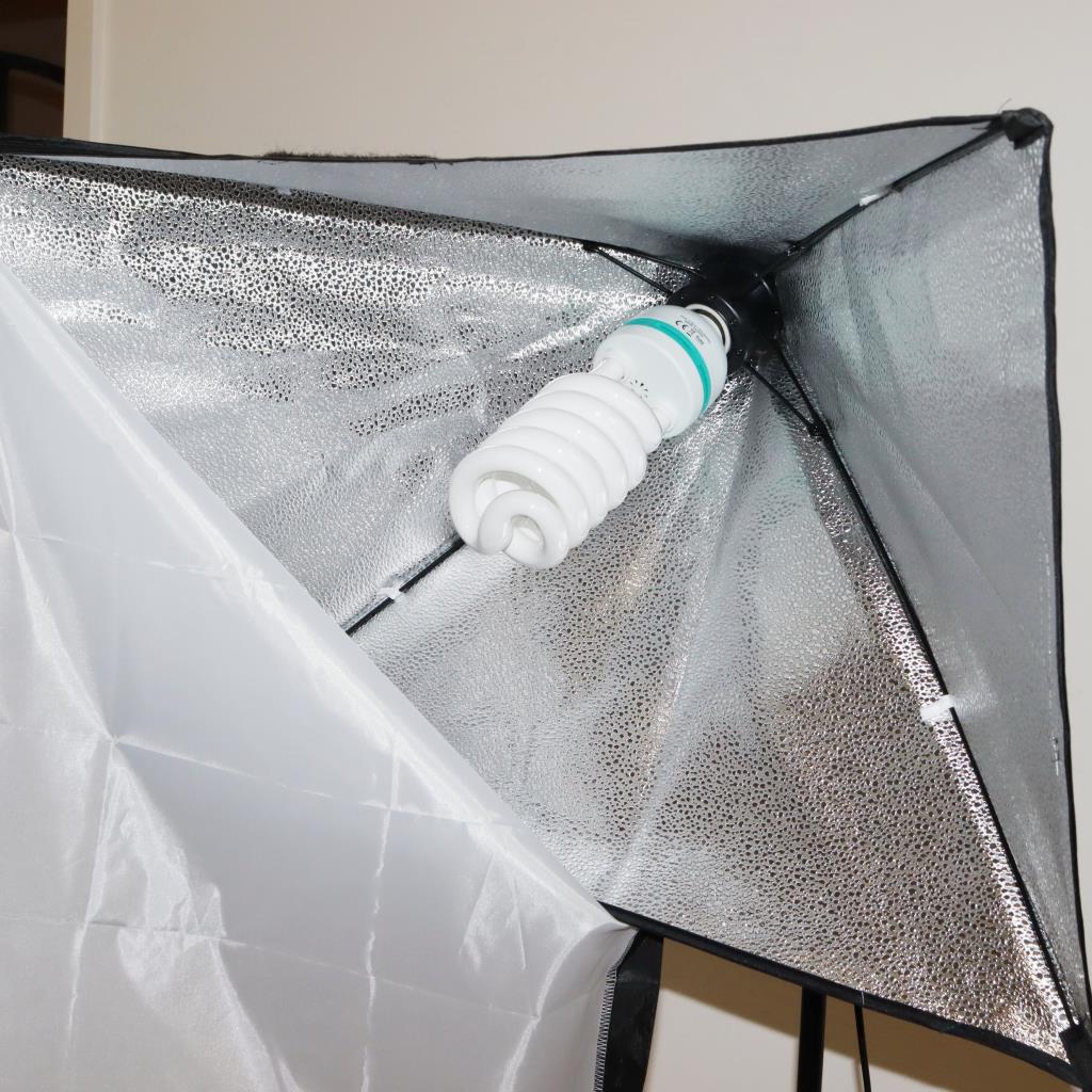 Phopik Softbox Photography Lights, 2 Lights | Property Room