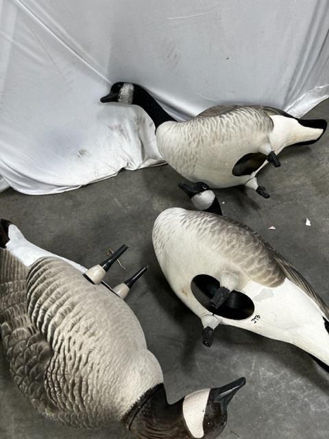 Plastic Geese Decoys | Property Room
