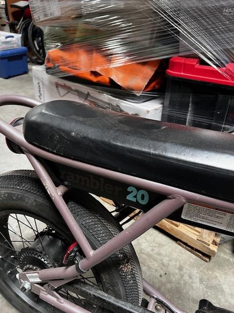 Razor Rambler 20 E-Bike | Property Room