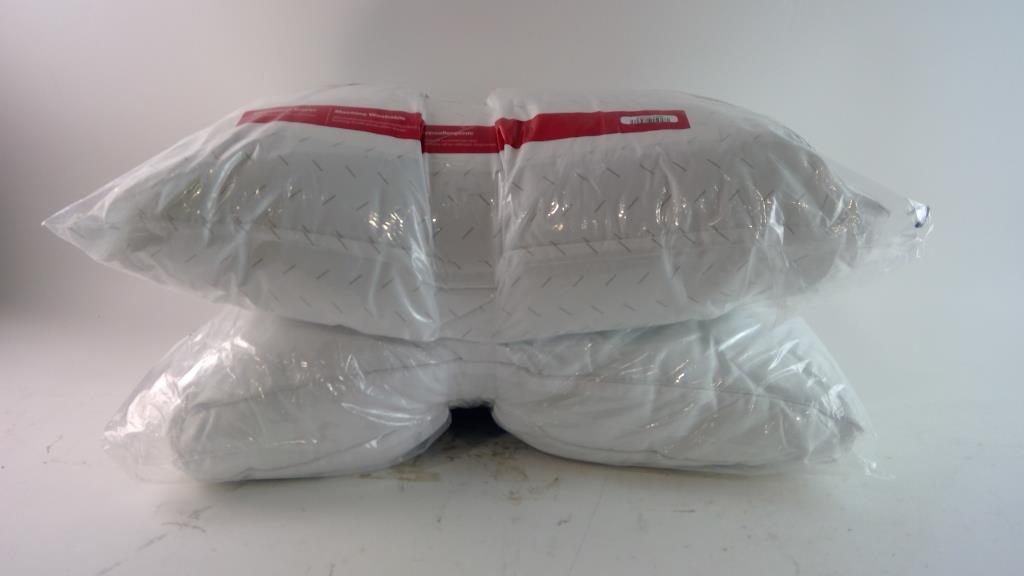 Room Essentials Pillows, 2 Pieces | Property Room