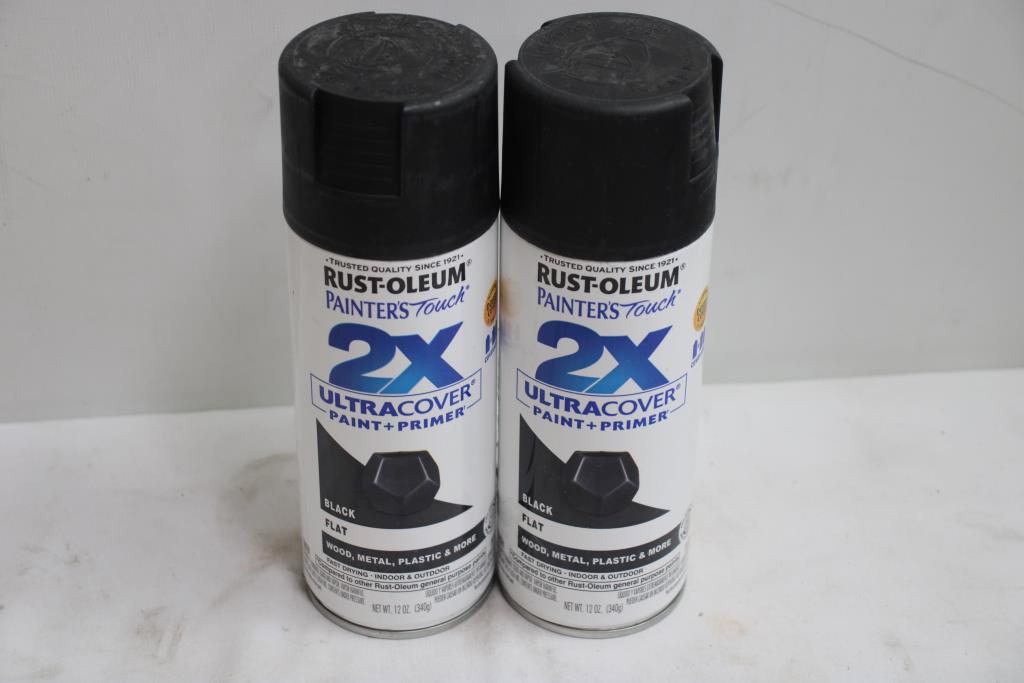 Rust-Oleum Painter's Touch 2x UltraCover Paint + Primer - Canyon Black ...