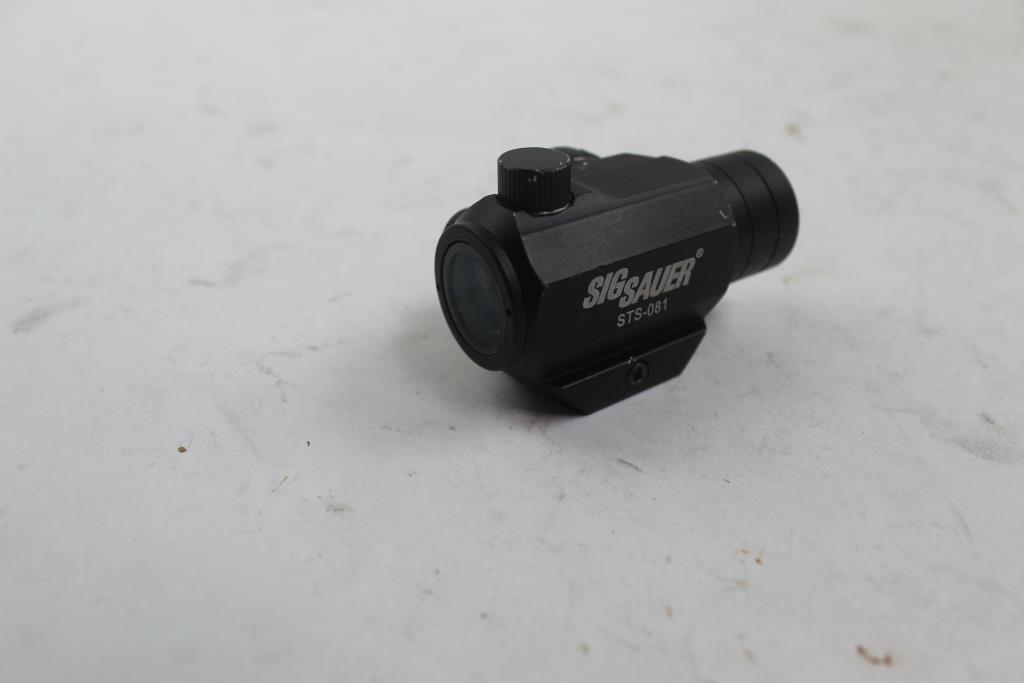 Sig Sauer Sts-081 Laser Dot Sight And Surefire Gun Light: 2 Items ...